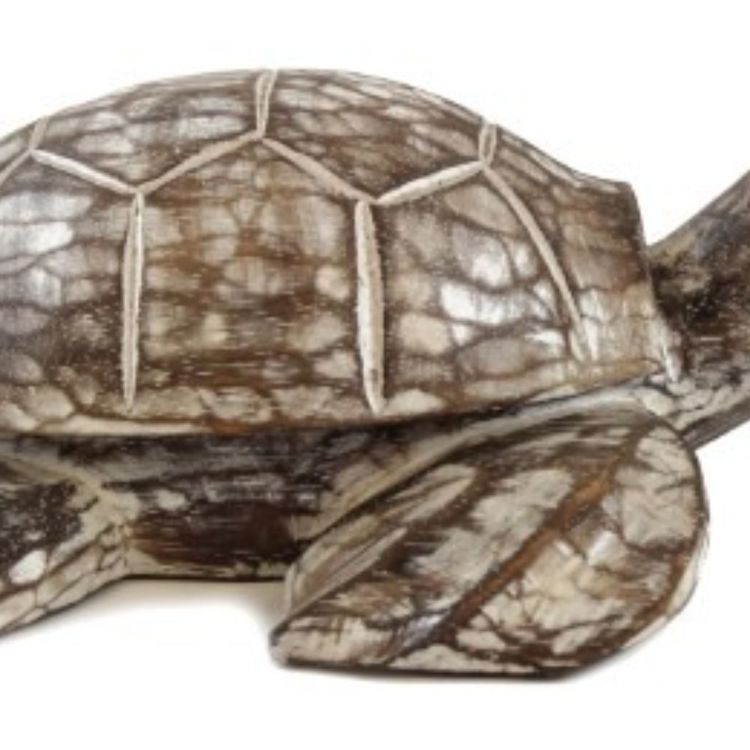 WOOD TURTLE BOX | Ivystone