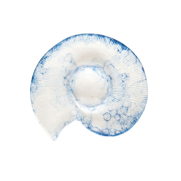 BLUE SNAIL SHELL PLATE | Ivystone