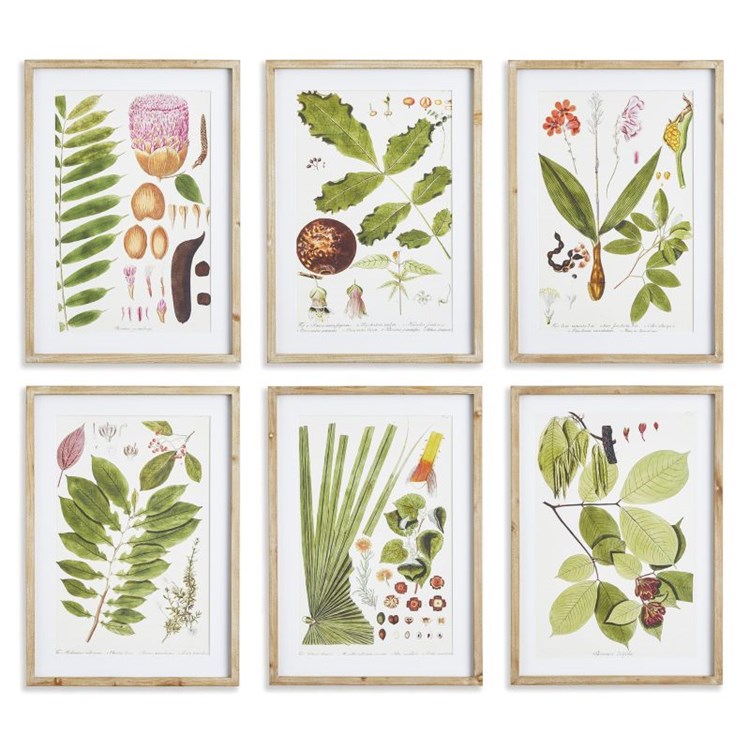 LEAF BOTANICAL STUDY, SET OF 6 | Ivystone