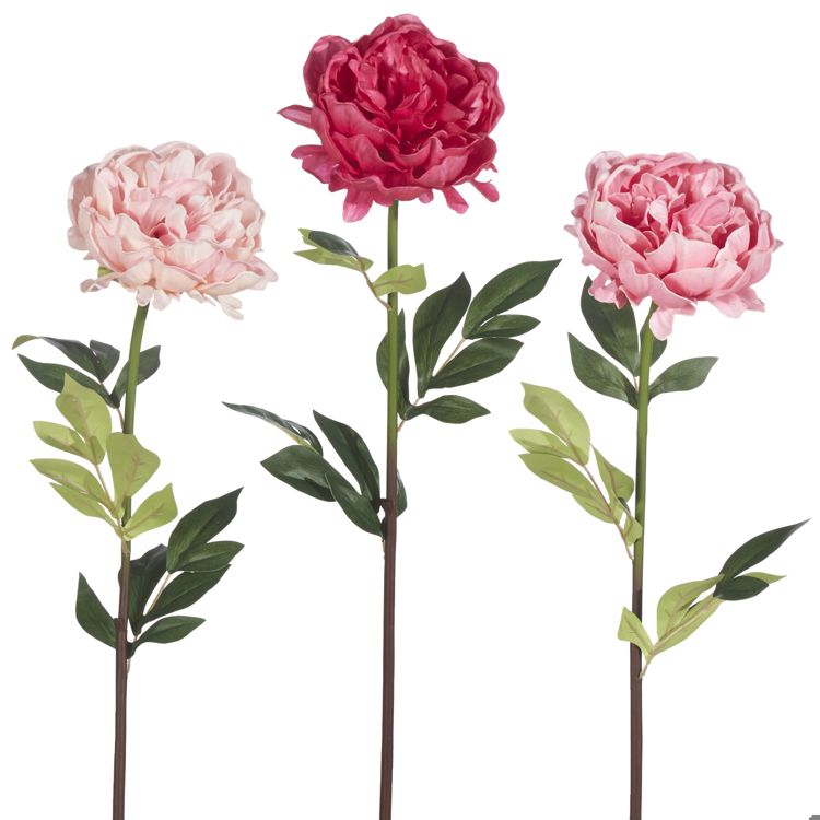 25 Real Touch Peony Stem | Ivystone