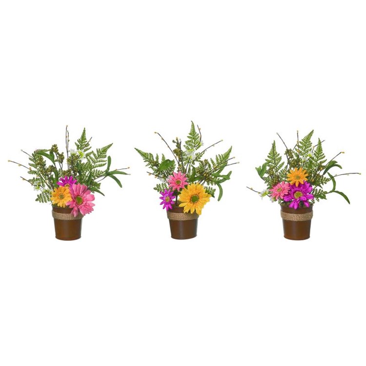 Rustic Bucket Daisy Arrangement 3 Asst | Ivystone