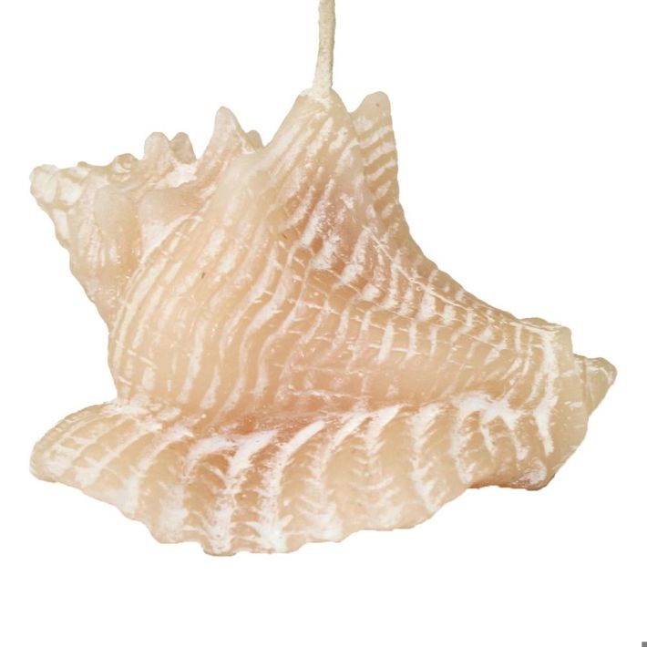 WHITE SHELL SHAPED CANDLE | Ivystone