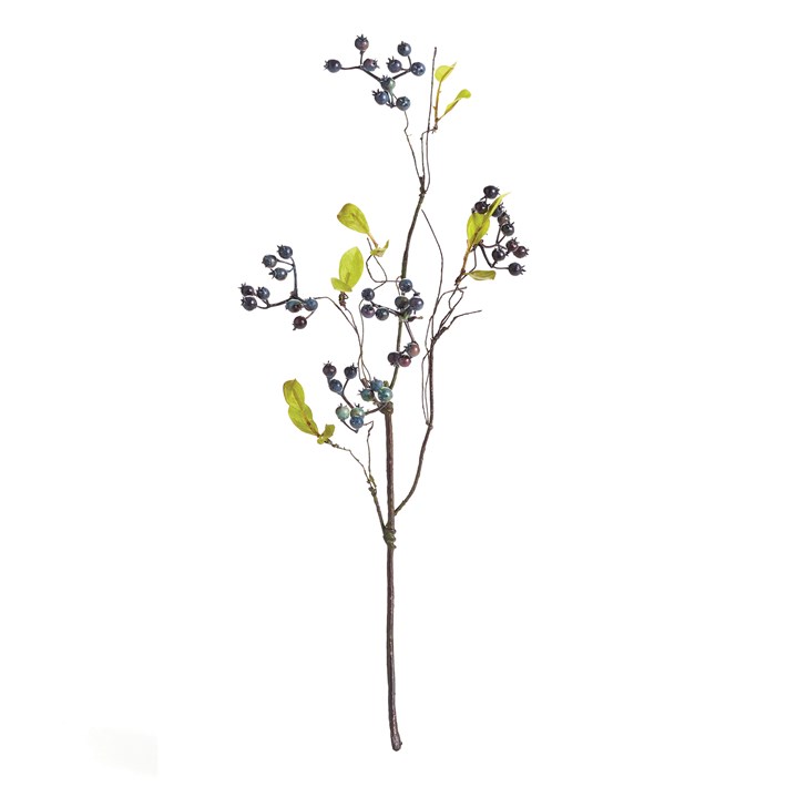 WILD BLUEBERRY STEM 18" | Ivystone