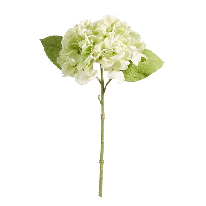 13 Real Touch Light Green Hydrangea Stem | Ivystone