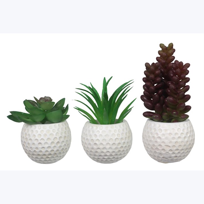 Resin Garden Mini Golf Ball Planter, 3 Assorted | Ivystone
